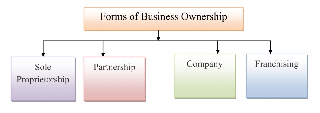 Forms Types Of Business Ownership Management Notes Study Material 