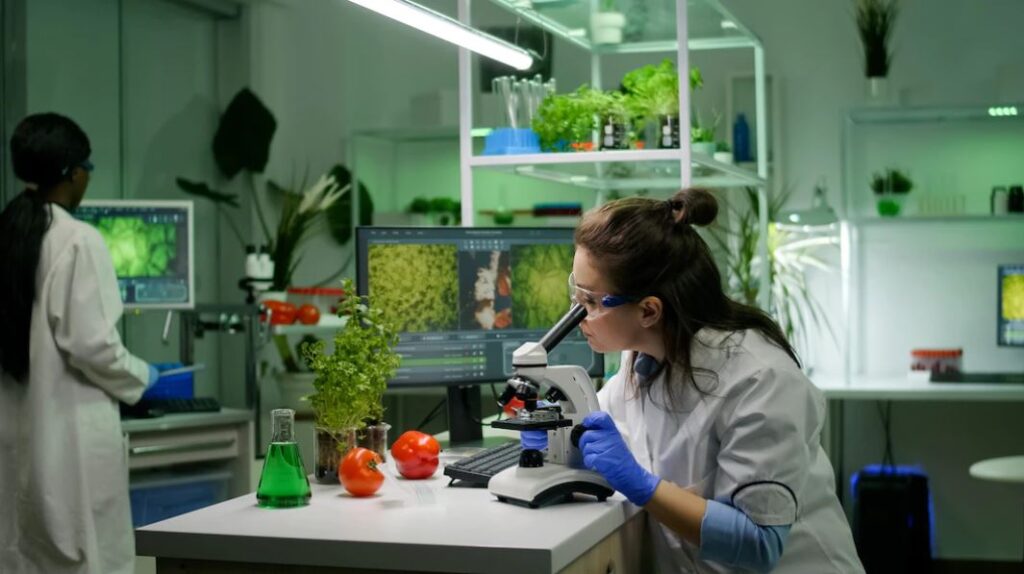 Applications Of Computer In Various Fields Medicine Engineering