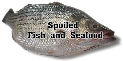 Spoilage of Fish and other Sea Foods - Simplynotes | Simplynotes