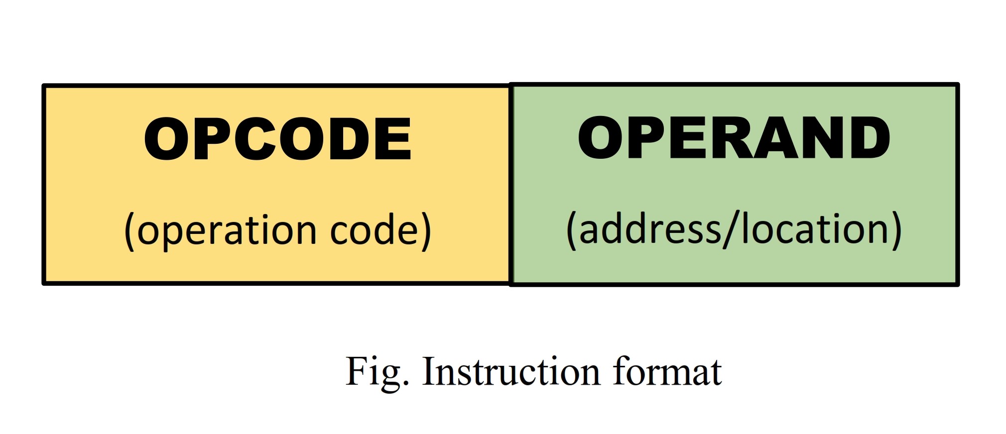 Write about Computer Languages/Programming languages | Computers Professor