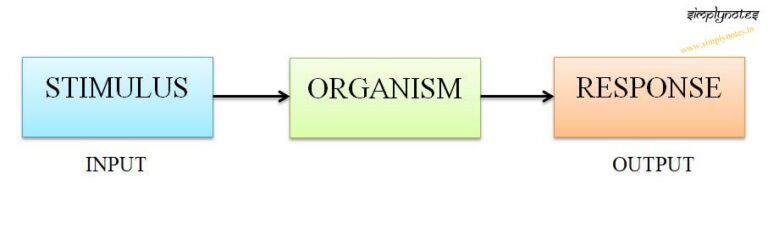 Individual Behaviour Concept and Mode - Simplynotes