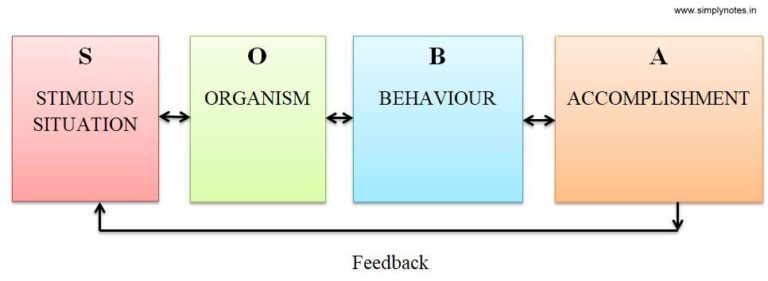 Individual Behaviour Concept and Mode - Simplynotes