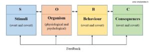 Individual Behaviour Concept and Mode - Simplynotes